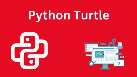 Portugal Flag In Python Turtle: Exploring The Beauty